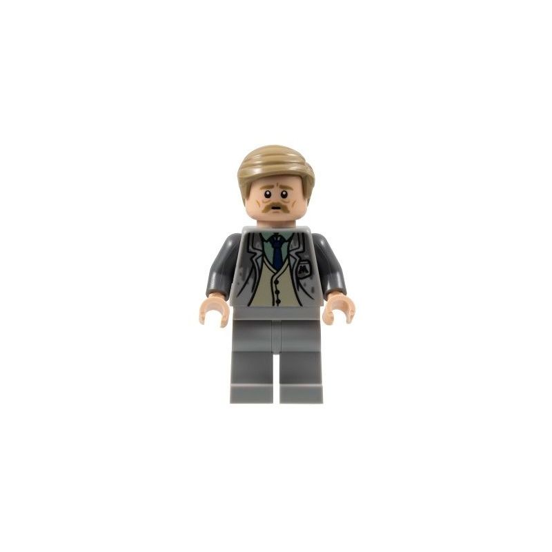 Reg Cattermole, Ron Weasley Transformation - Steinplanet.ch - LEGO ...